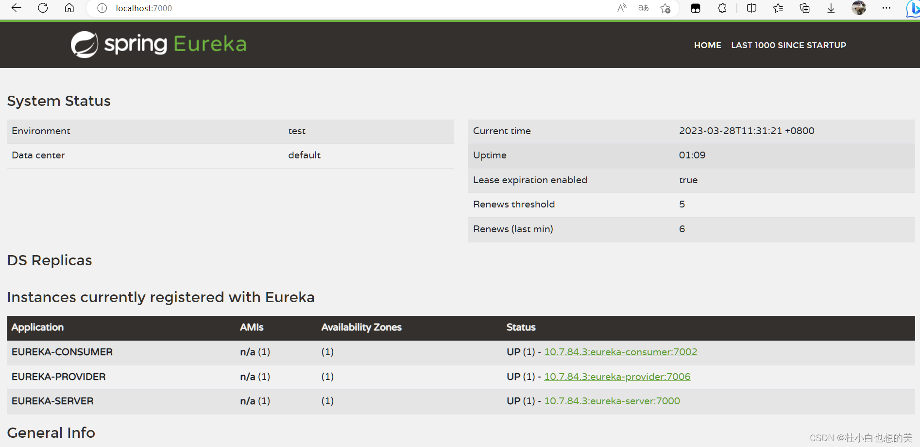 Eureka——服务注册与发现框架_eureka框架-CSDN博客