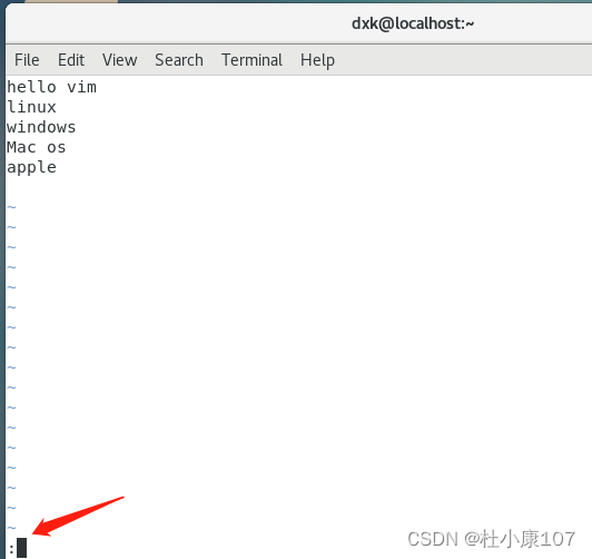 Linux中的vi/vim_linux vi vim-CSDN博客