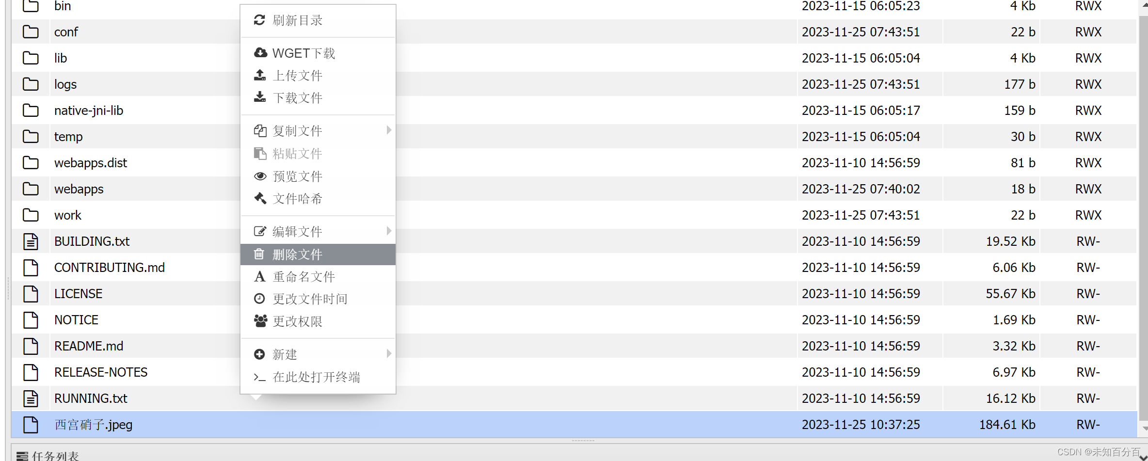 Nginx反向代理实现负载均衡webshell_antproxy.php-CSDN博客