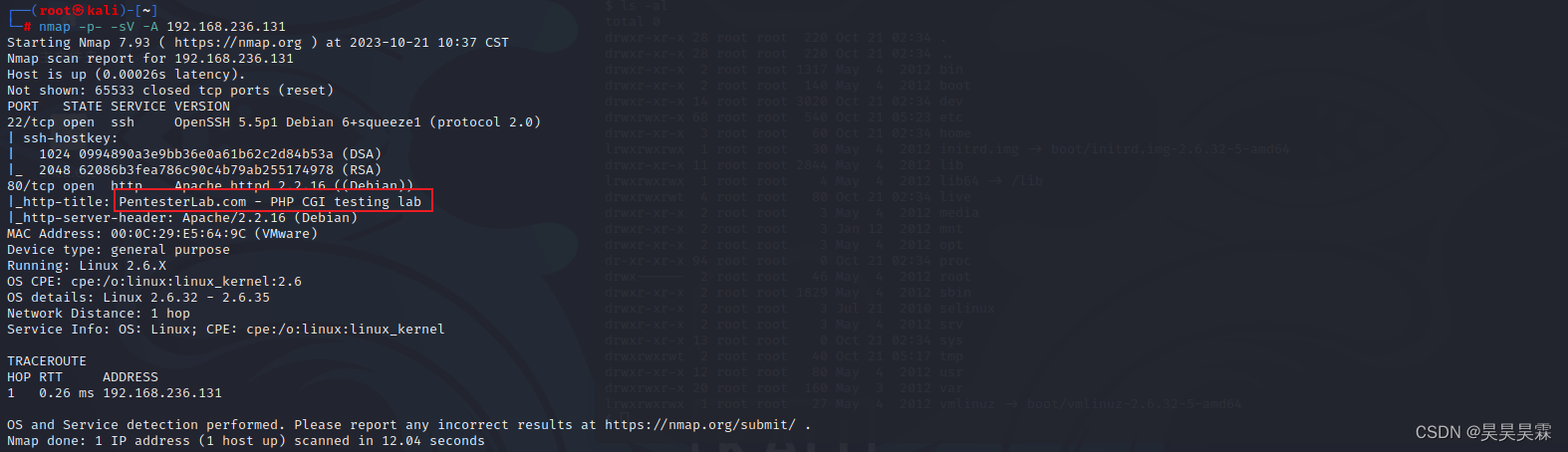 PHP-CGI远程代码执行漏洞（CVE-2012-1823）-CSDN博客