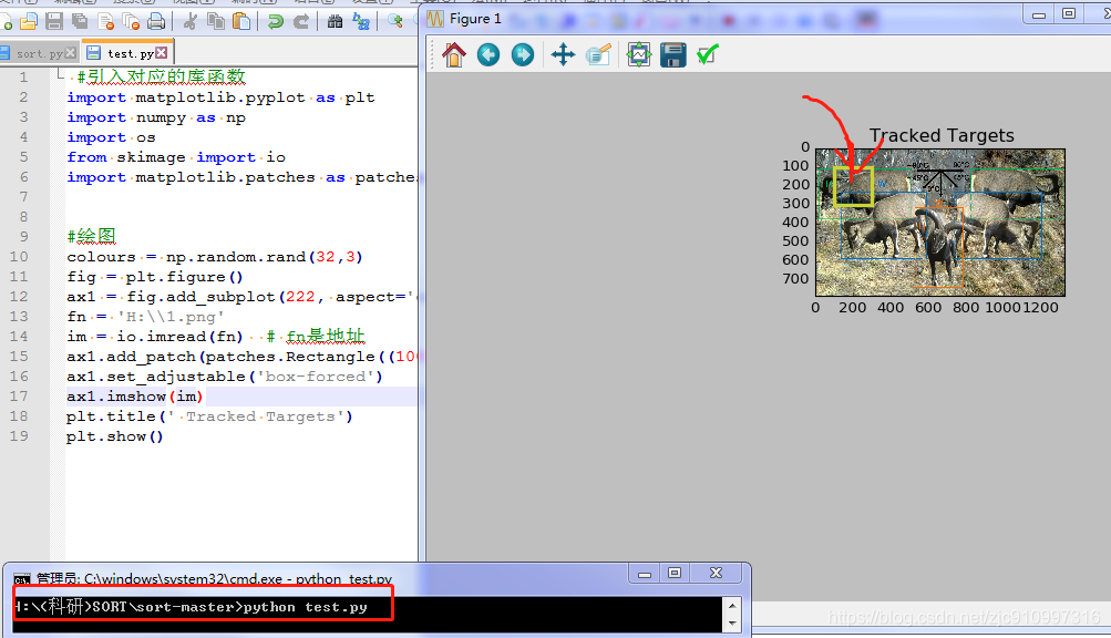 SORT详解： 代码解读_class sort(object)-CSDN博客