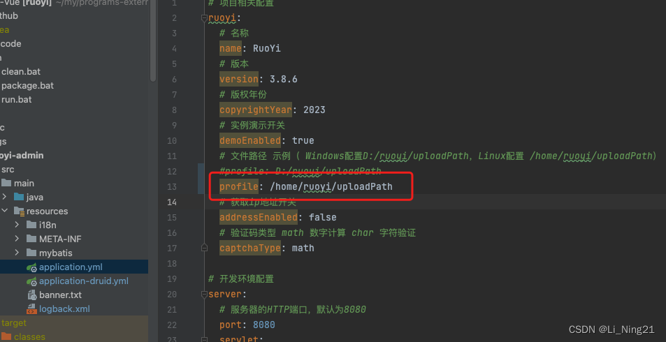 Linux服务器部署若依（ruoyi-vue），从购买服务器到部署完成保姆级教程_linux部署若依-CSDN博客