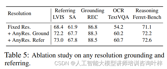 多模态革新：Ferret-v2在高分辨率图像理解与细粒度交互的突破-CSDN博客