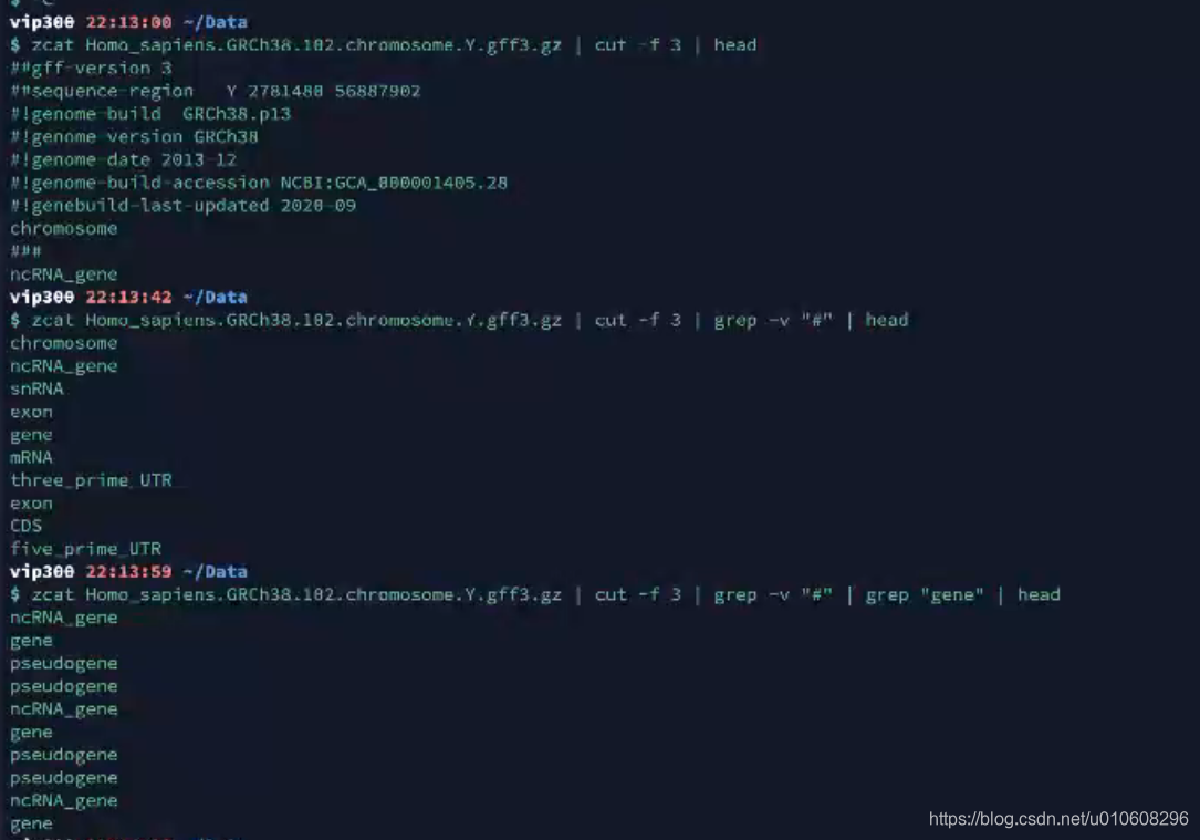 生物信息学常见数据格式 • fasta • fastq • gff/gtf 练习题_gff3或者gtf文件 练习-CSDN博客