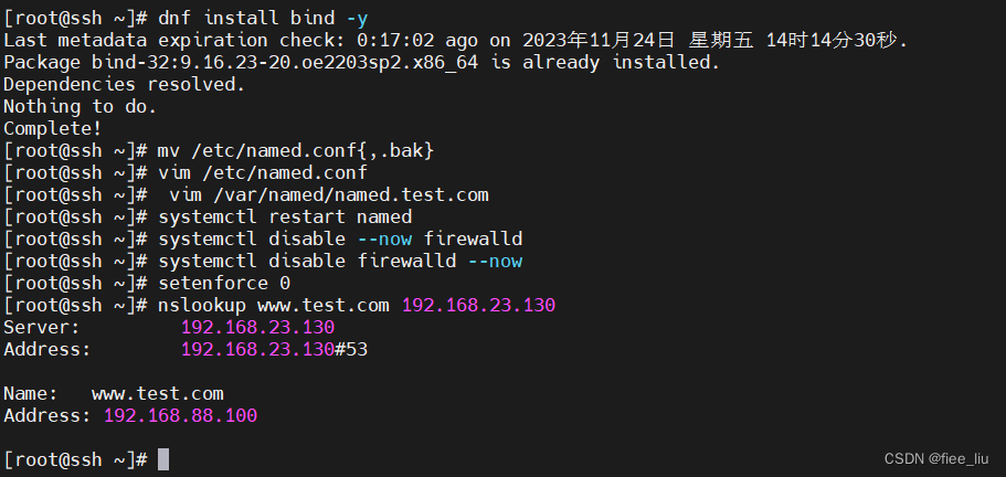 构建OpenLab缴费网站与DNS解析设置-CSDN博客