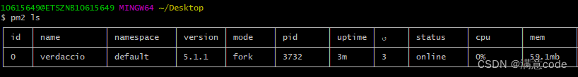 使用Verdaccio 搭建 npm 私有服务器_verdaccio 后台运行-CSDN博客