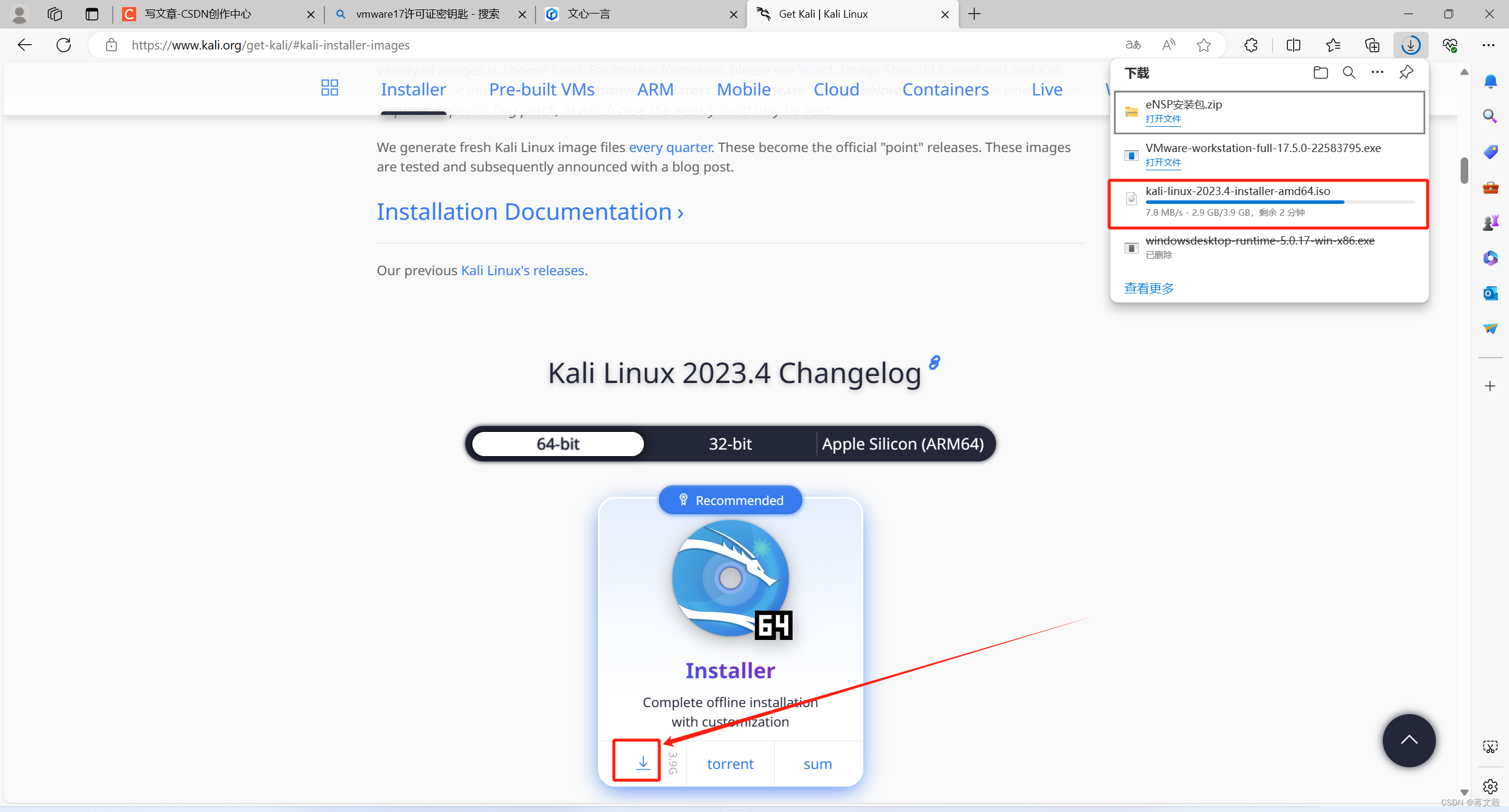 VMware安装kali_Linux详细教程_vmware 安装kali-CSDN博客