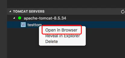 VsCode 运行Java Web 项目（Tomcat）_vscode运行tomcat-CSDN博客