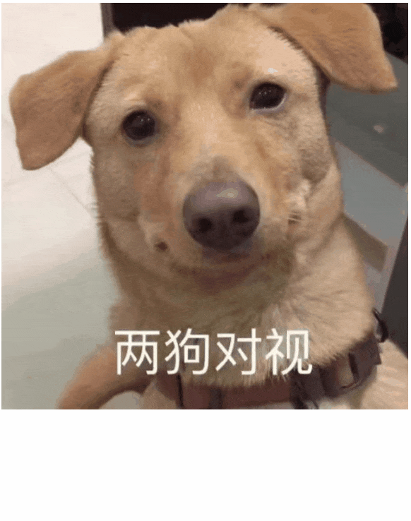 Annotorious入门教程：图片注释工具-CSDN博客