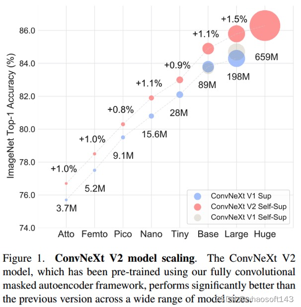 ConvNeXtV2：融合自监督学习的卷积模型，性能匹敌Transformer-CSDN博客