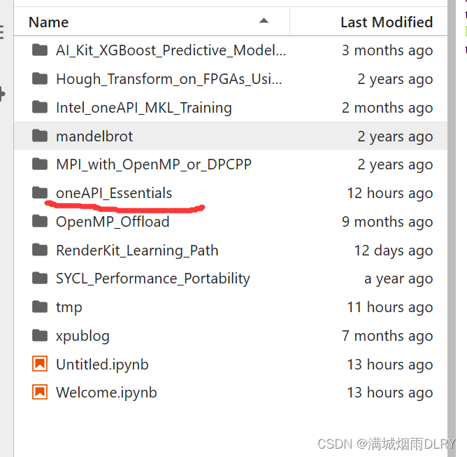 Intel® DevCloud for oneAPI实践_intel devcloud-CSDN博客