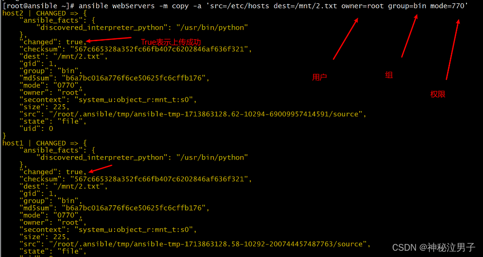 Ansible 中的copy 复制模块应用详解_ansible copy-CSDN博客