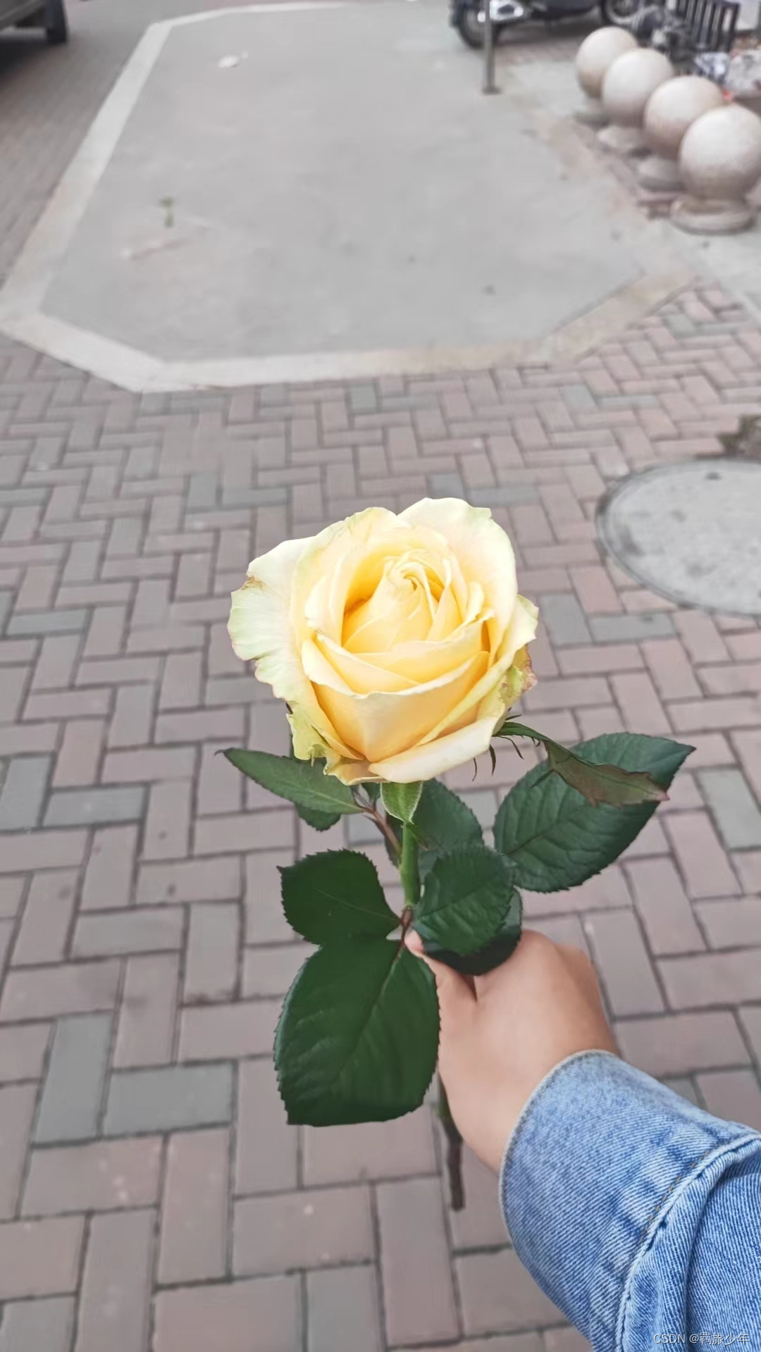 算法设计与分析之递归进阶练习五题算法设计与分析递归算法习题 Csdn博客