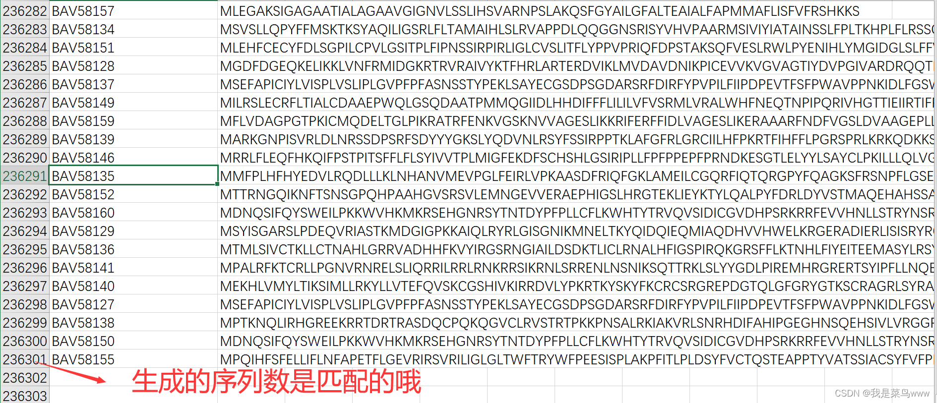 利用Python解决生物问题-将fasta文件转换为excel文件_怎么把fasta文件的序列转化到excel中-CSDN博客