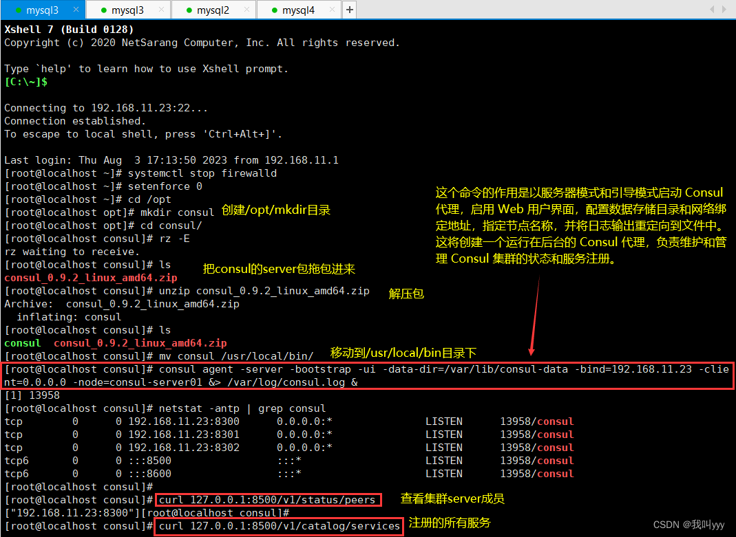 Docker consul的容器服务更新与发现_consul-template nginx 增加 删除 服务-CSDN博客