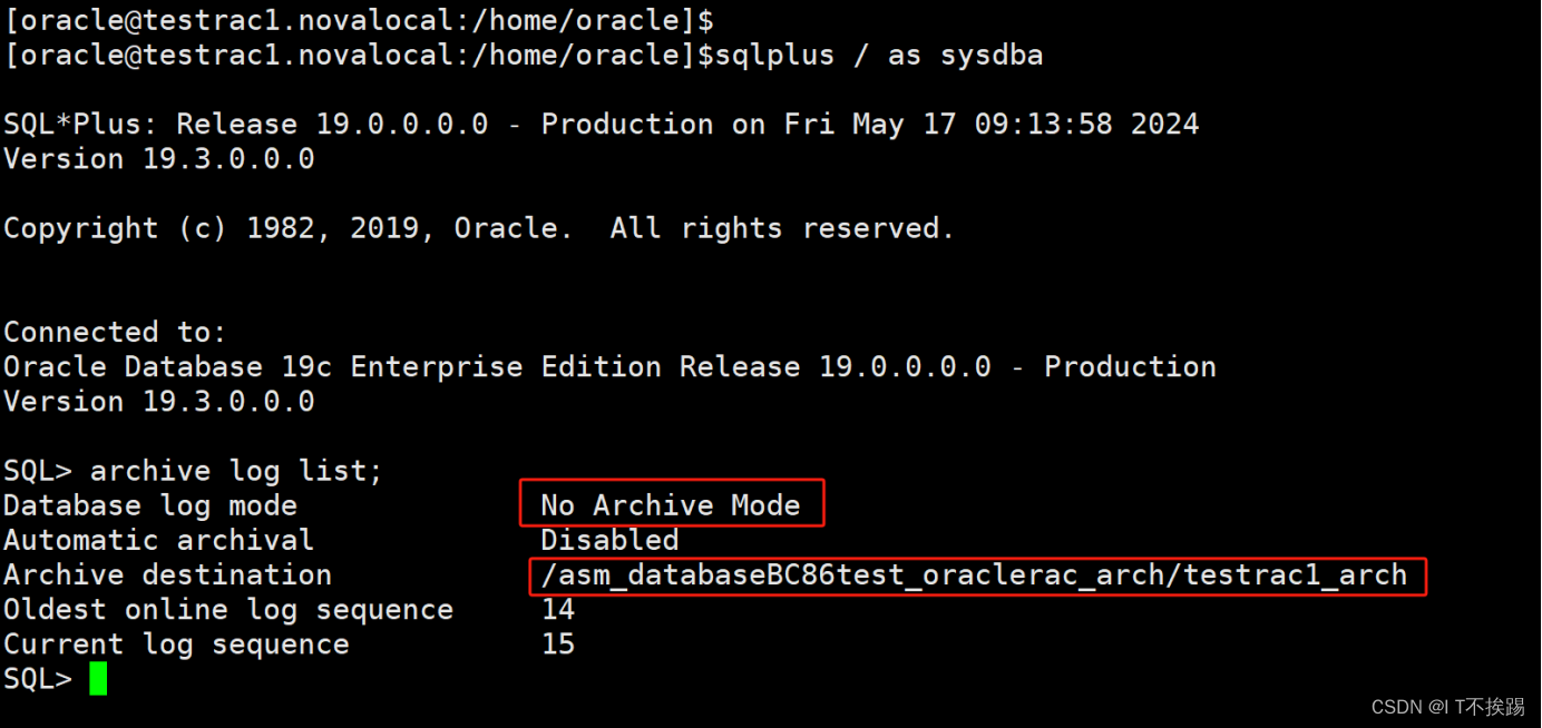 Oracle 19C Rac 使用nfs搭建节点归档目录_oracle 19c 设置归档-CSDN博客