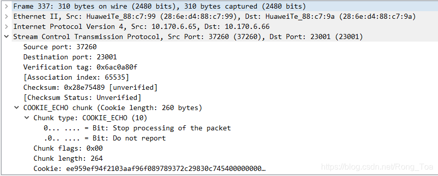 TCP/IP：SCTP报文格式_sctp数据包格式-CSDN博客