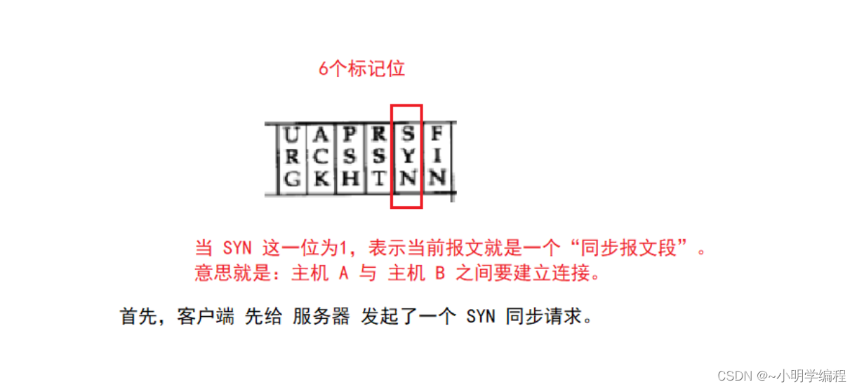 网络传输详解：TCP,UDP,XML,JSON与Protobuf-CSDN博客