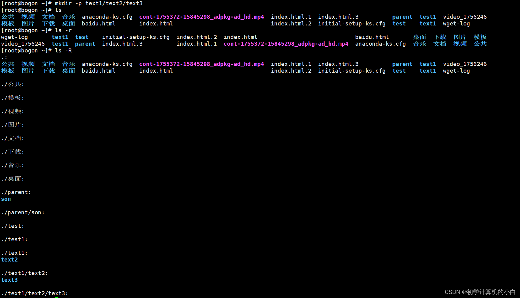 RHCSA/Linux基础 第二天-CSDN博客