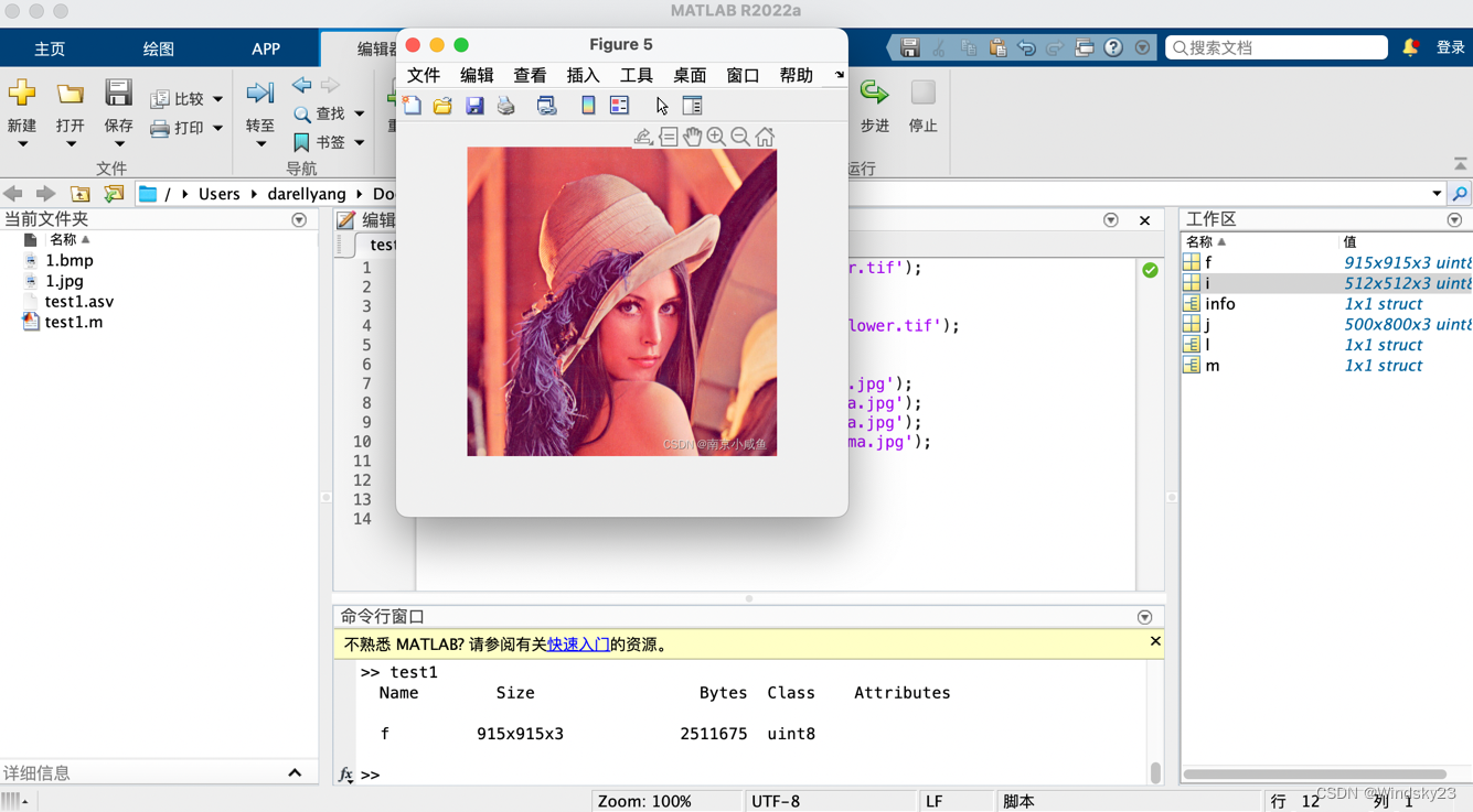 MATLAB图像处理基础：读取、显示与转换-CSDN博客