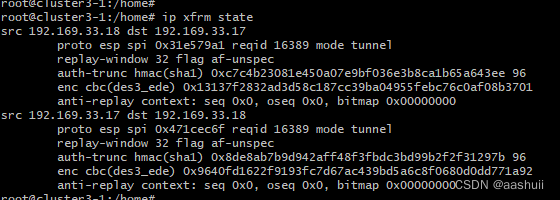 linux ipsec pluto不生效定位_linux pluto-CSDN博客