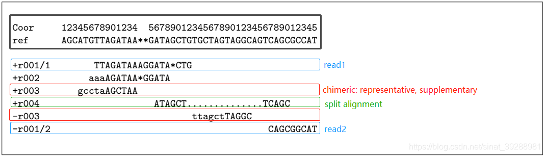 基因组分析格式详解：SAM、VCF、GTF/GFF3、BED与BedGraph-CSDN博客