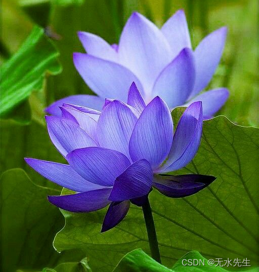 【python知识】多进程专题（1）_os.getpid-CSDN博客