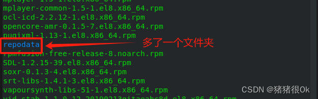 实验：基于Red Hat Enterprise Linux系统下安装mplayer_red hat视频播放器mplayer的源码安装-CSDN博客