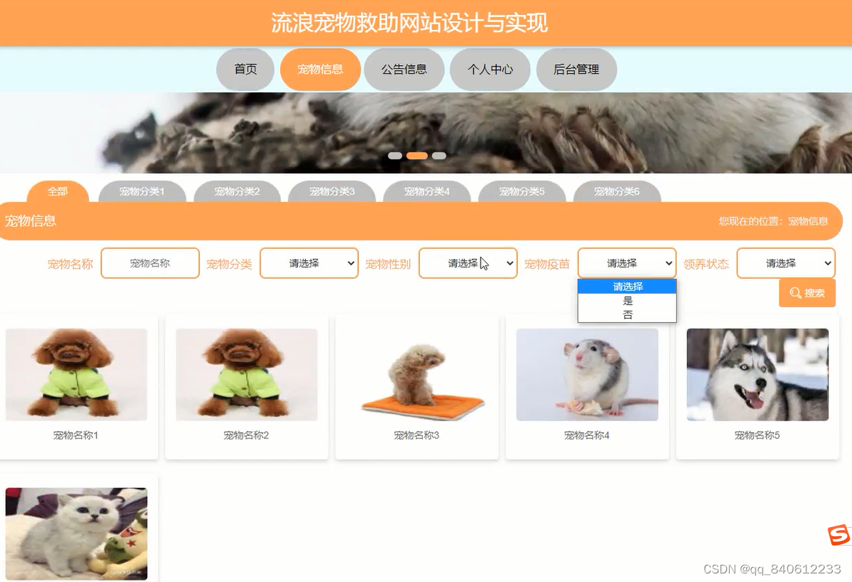 nodejs+vue+elementui在线公益-帮助流浪动物网站python java_element ui小项目流浪动物救助idea-CSDN博客