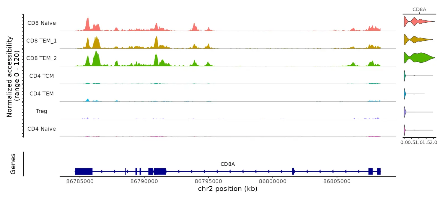 10X单细胞核转录组 + 10X单细胞ATAC的联合分析（WNN）_atac和转录组联合可以分析什么-CSDN博客