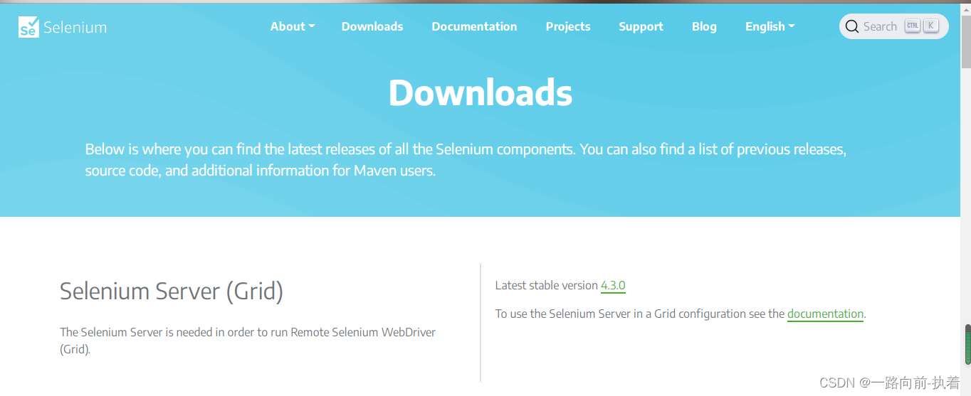 selenium-java常用api_java selenium api-CSDN博客