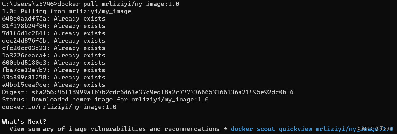 小白入门：如何在docker中运行python程序_docker python-CSDN博客