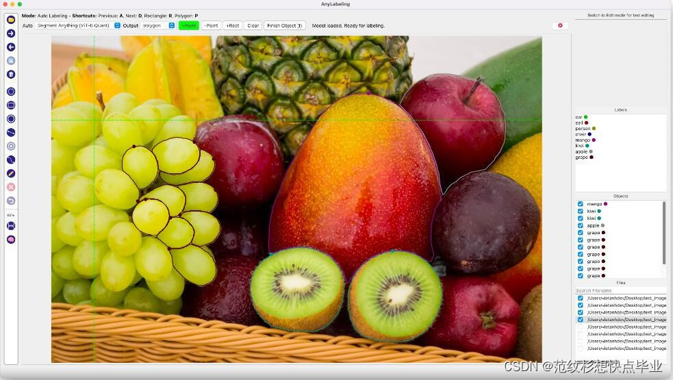 【YOLO】Python实例分割 YOLOv5-segment使用教程_yolov5-seg 分割头-CSDN博客