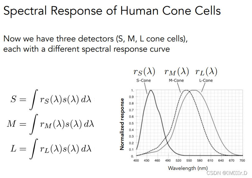 20.颜色与感知_m cone-CSDN博客