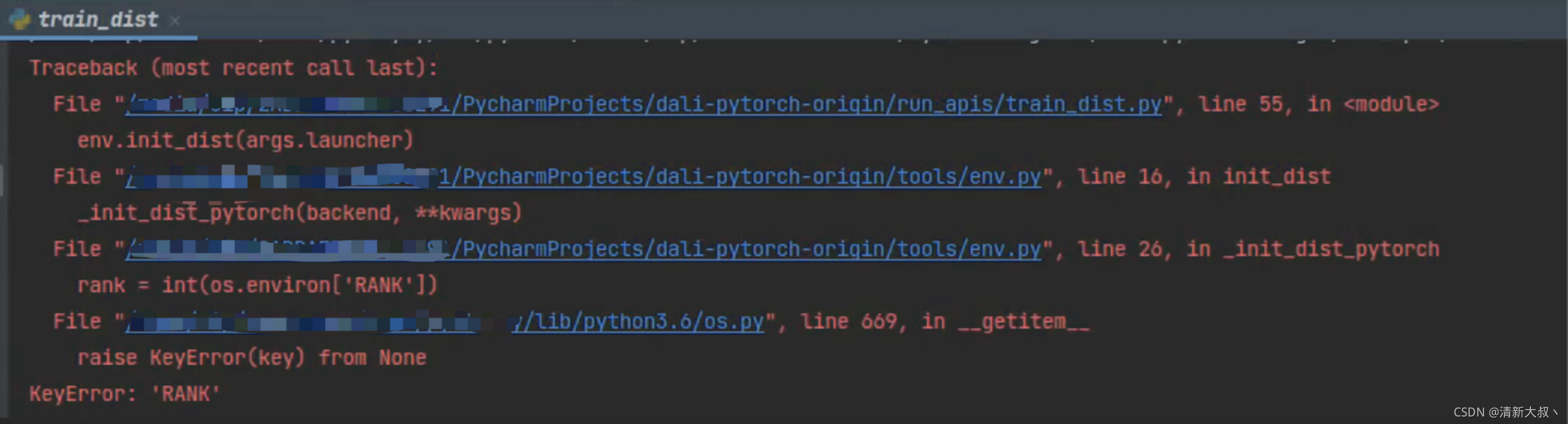 pytorch分布式训练踩坑记录_keyerror: 'rank-CSDN博客