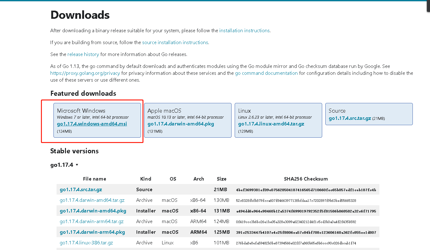 windows系统 ---go环境搭建 ---详细教程_windows安装go-CSDN博客