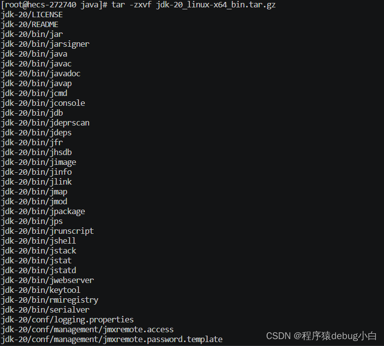 Linux 系统上 安装 jdk_linux安装jdk20-CSDN博客