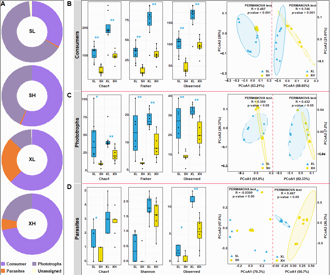 EP | 孙蔚旻团队揭示土壤原生生物对锑和砷污染的响应-CSDN博客
