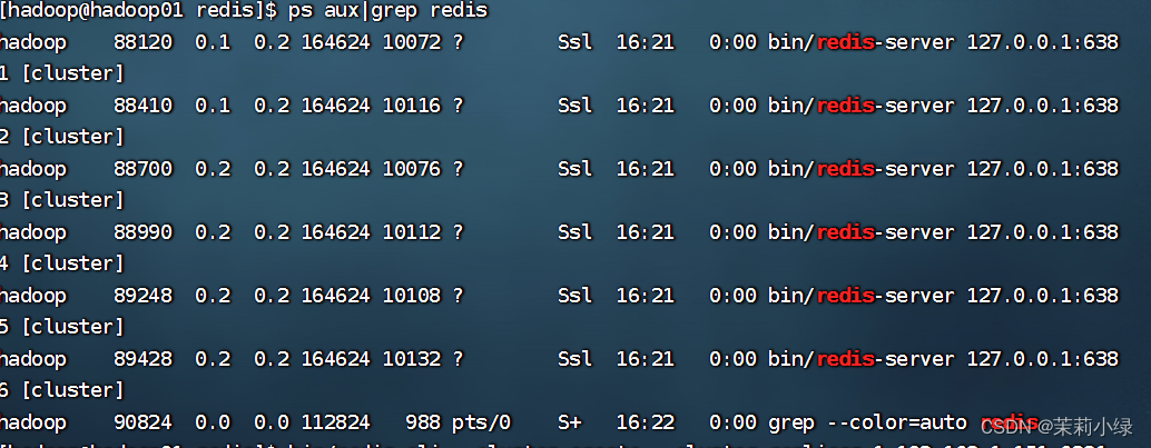 Redis集群搭建步骤详解,-CSDN博客