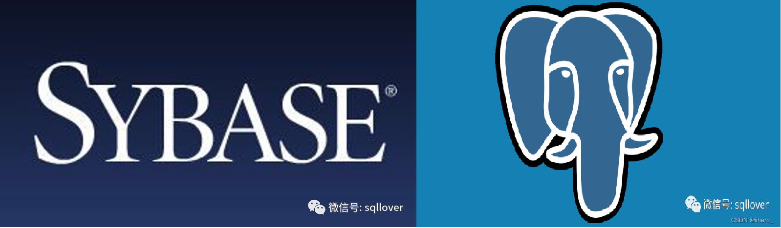 Sybase ASE中的char(N)的坑以及与PostgreSQL的对比_sybase char类型-CSDN博客