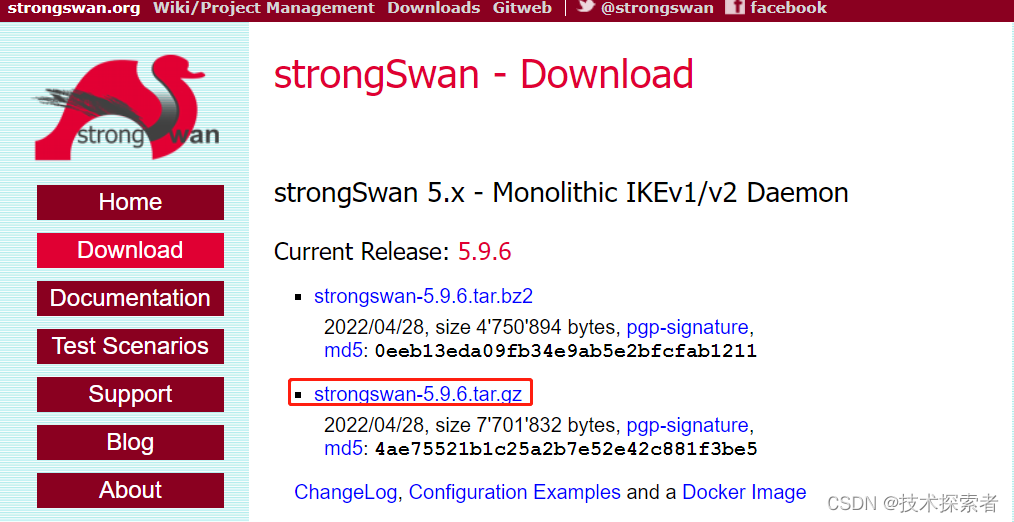 IPsec：strongswan与vpp实现ipsec_vpp punt-CSDN博客