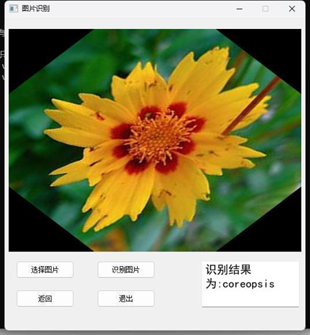 基于python_CNN深度学习的鲜花识别-含数据集+pyqt界面-CSDN博客
