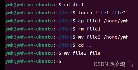 Linux操作系统文件与目录管理及编辑器使用-CSDN博客