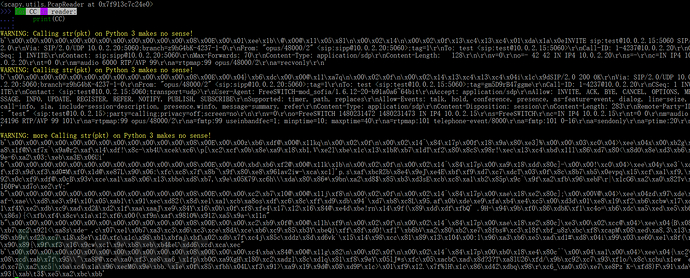 Scapy：用Python编写自己的网络抓包工具_python scapy 抓包-CSDN博客