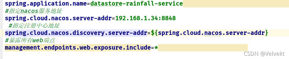 com.alibaba.nacos.api.exception.NacosException: failed to req API:/api//naco异常已解决_spring cloud ...
