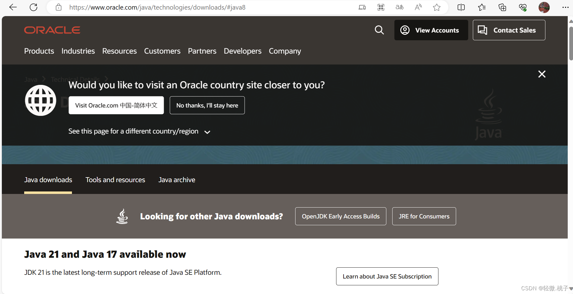 JDK的安装与配置（linux系统）_opt安装jdk-CSDN博客