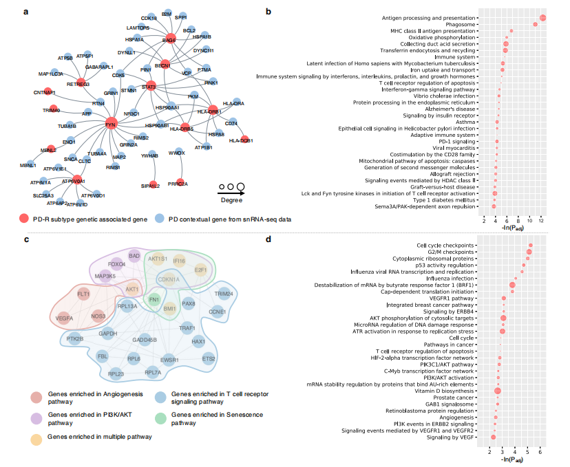 通过多模态数据综合分析识别帕金森病PACE亚型并重新利用治疗方法| 文献-基于人工智能(AI base)的医学影像研究与疾病诊断_ppmi数据集-CSDN博客