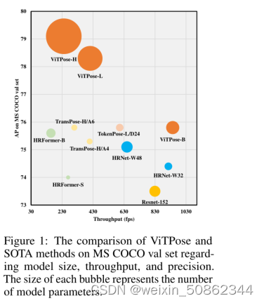 【论文翻译】ViTPose: Simple Vision Transformer Baselines for Human Pose Estimation-CSDN博客