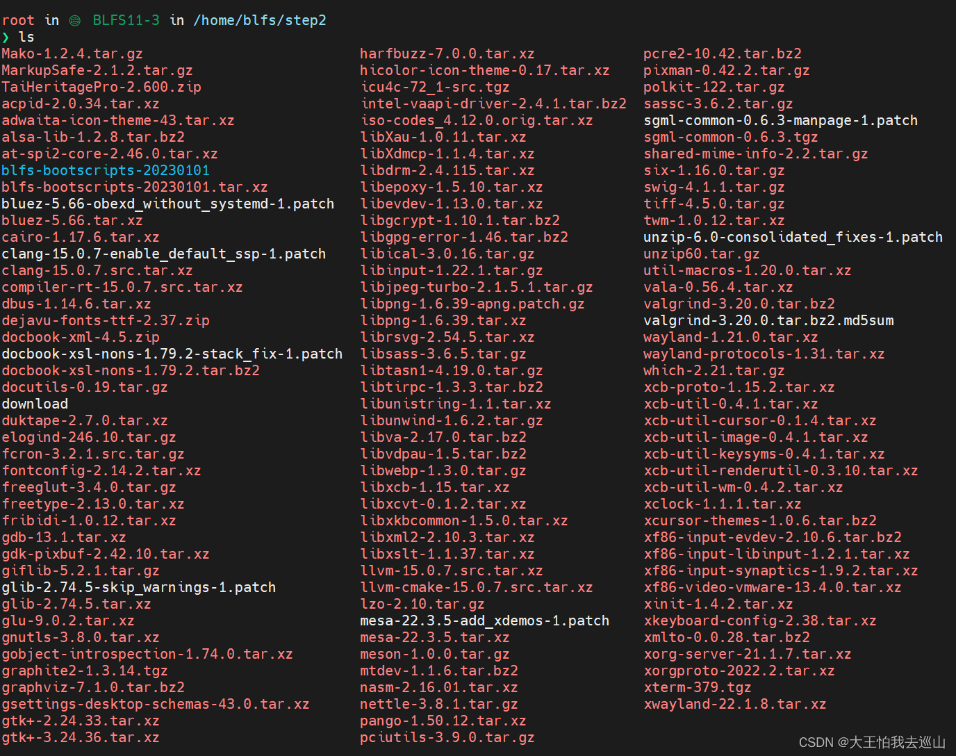 blfs：为lfs虚拟机增加桌面02_blfs 11-CSDN博客