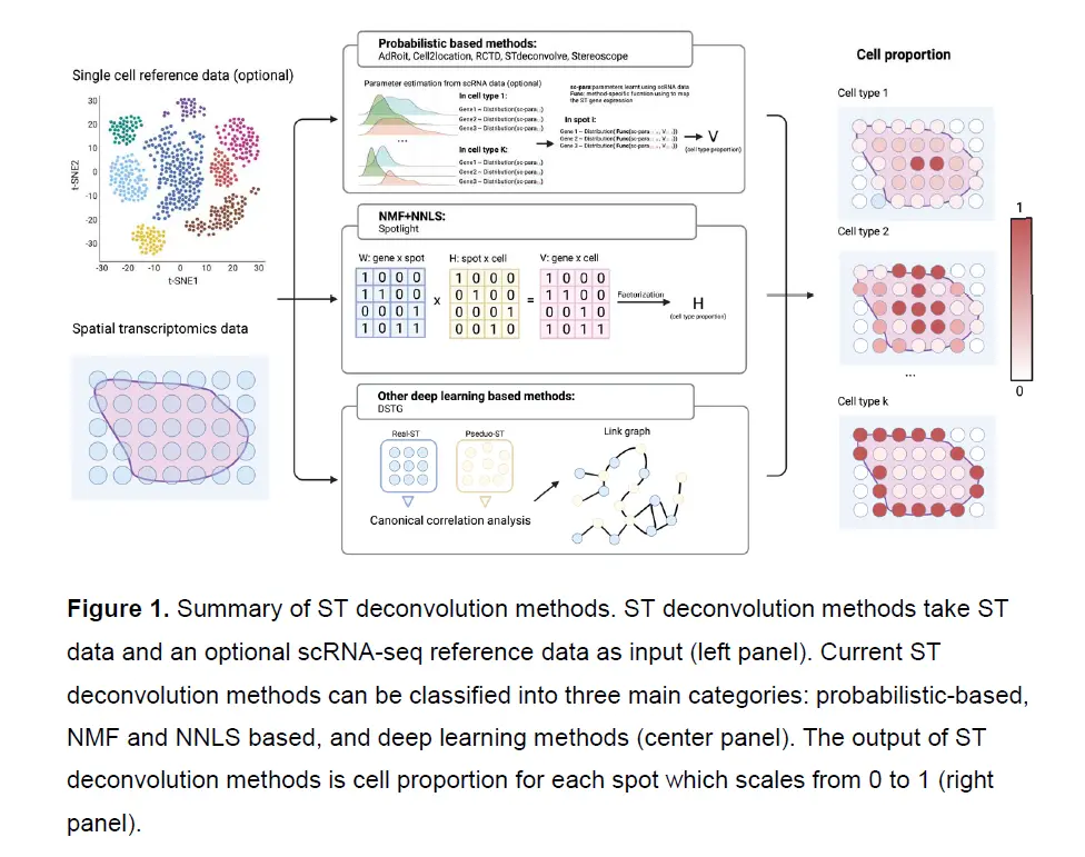 10X单细胞空间联合分析方法汇总及算法总结_rctd算法-CSDN博客